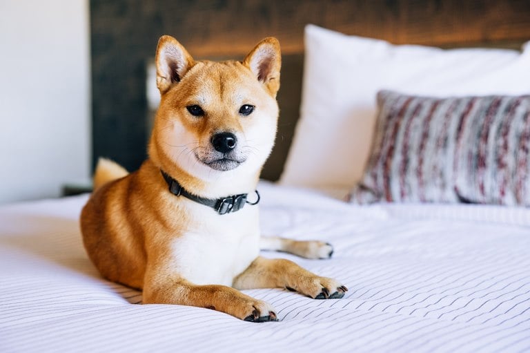 Exclusive Denver Hotel Deals | Cambria Hotel Denver Downtown RiNo