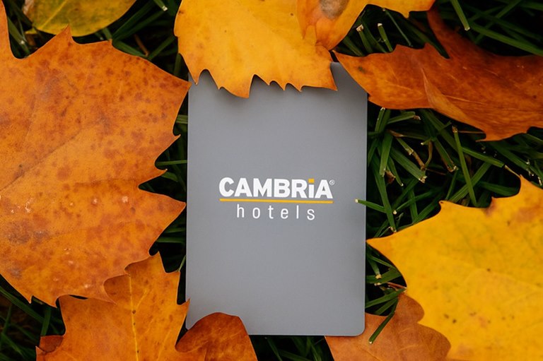 Exclusive Denver Hotel Deals | Cambria Hotel Denver Downtown RiNo